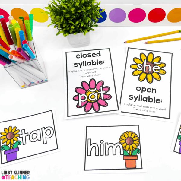 What are the 6 Syllable Types? - Libby Klinner Teaching
